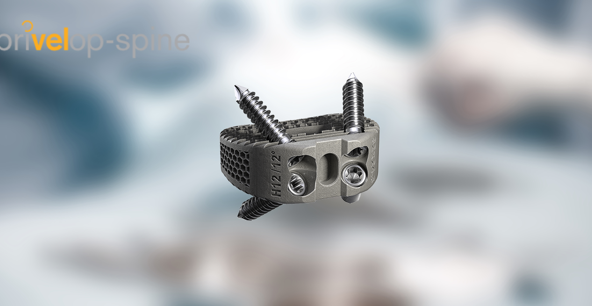 Spinal implants - Nexon Medical AG